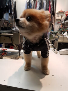 The 16 Best Alteration Sydney | Sydney10